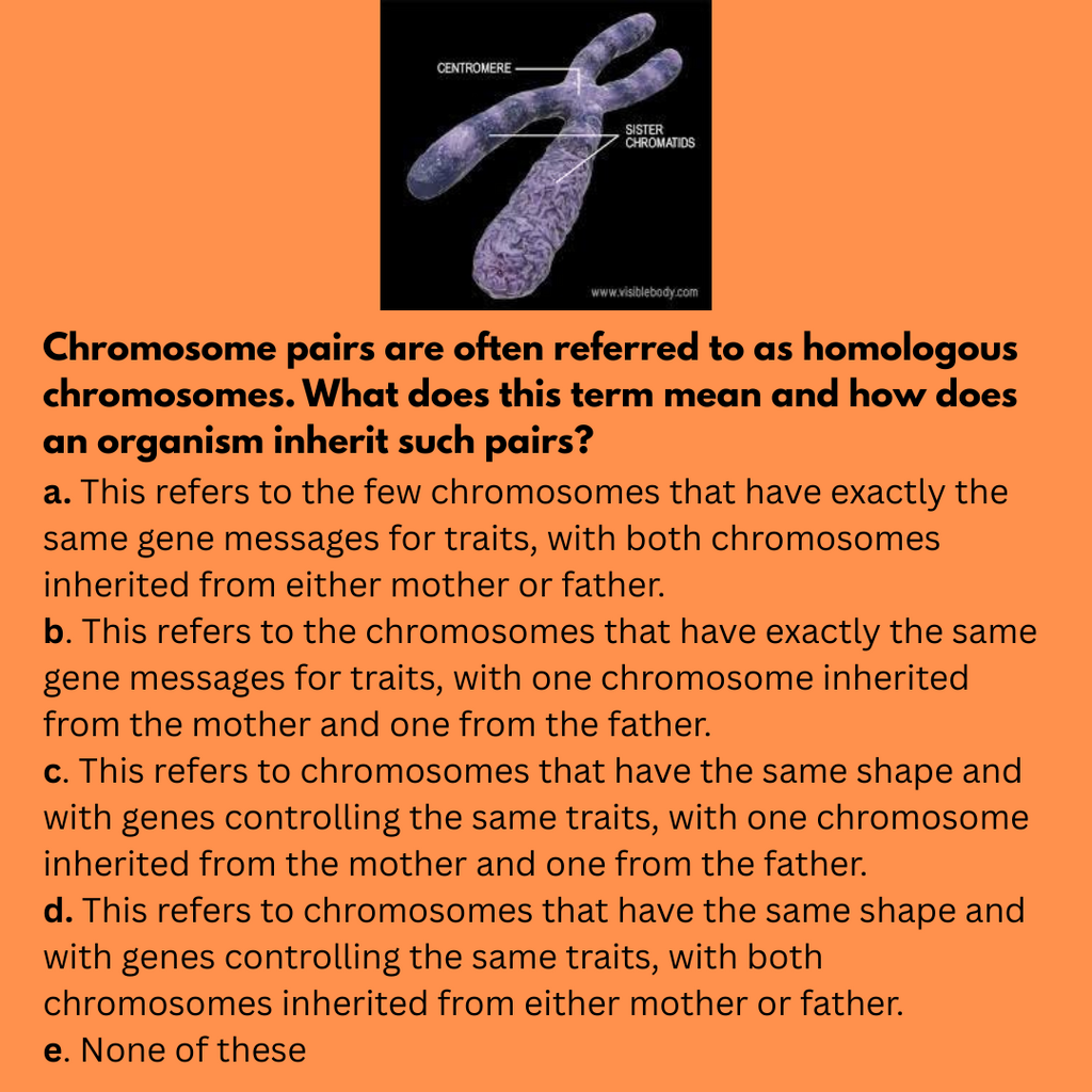 DAT - Homologous Chromosomes Explained (DAT Biology Review) High Yield ...